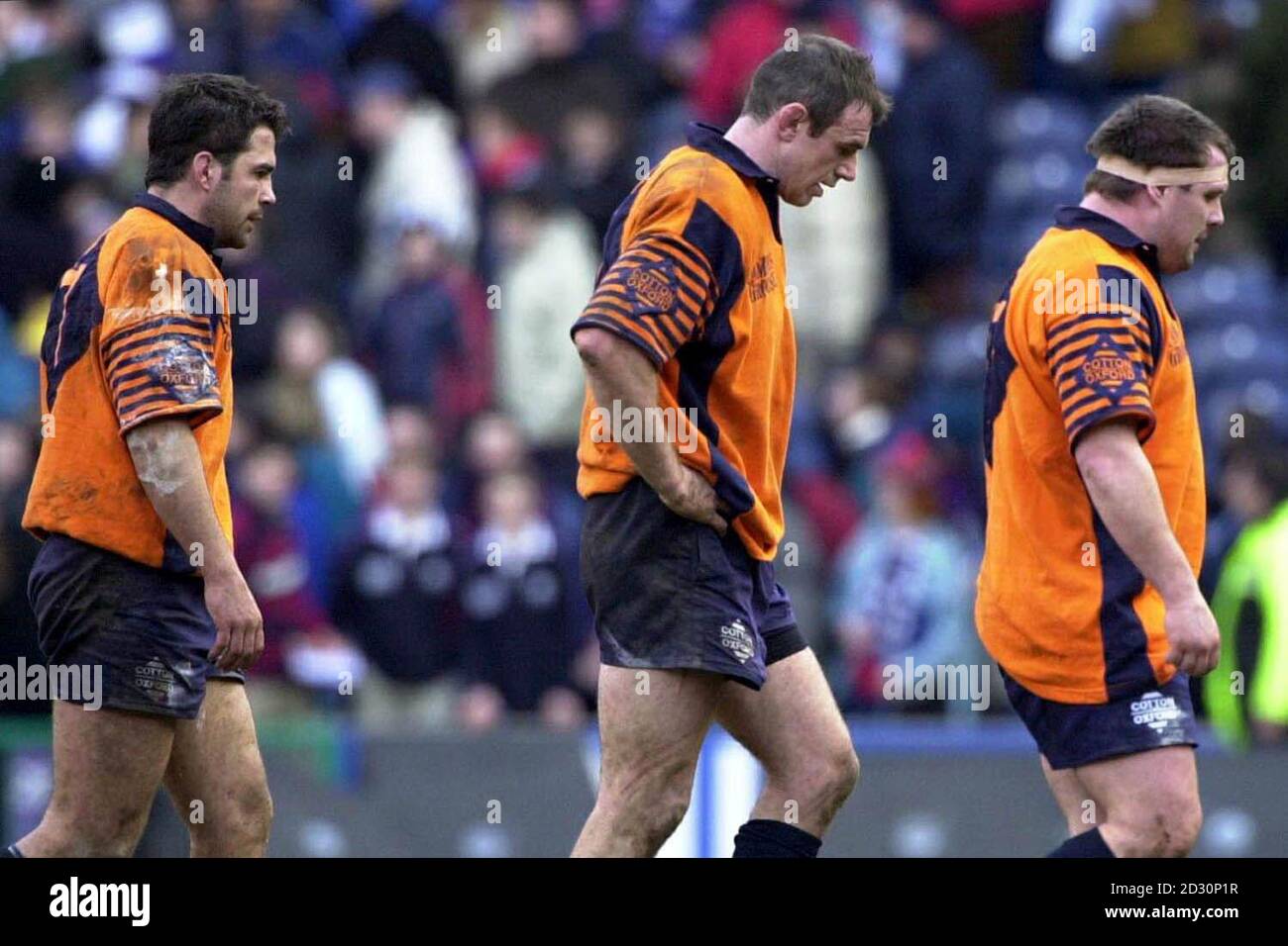 Budge reid hi-res stock photography and images - Alamy