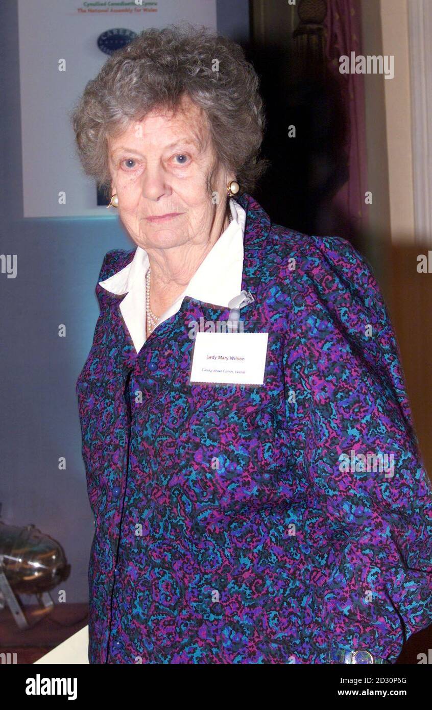 Lady Wilson High Resolution Stock Photography and Images - Alamy