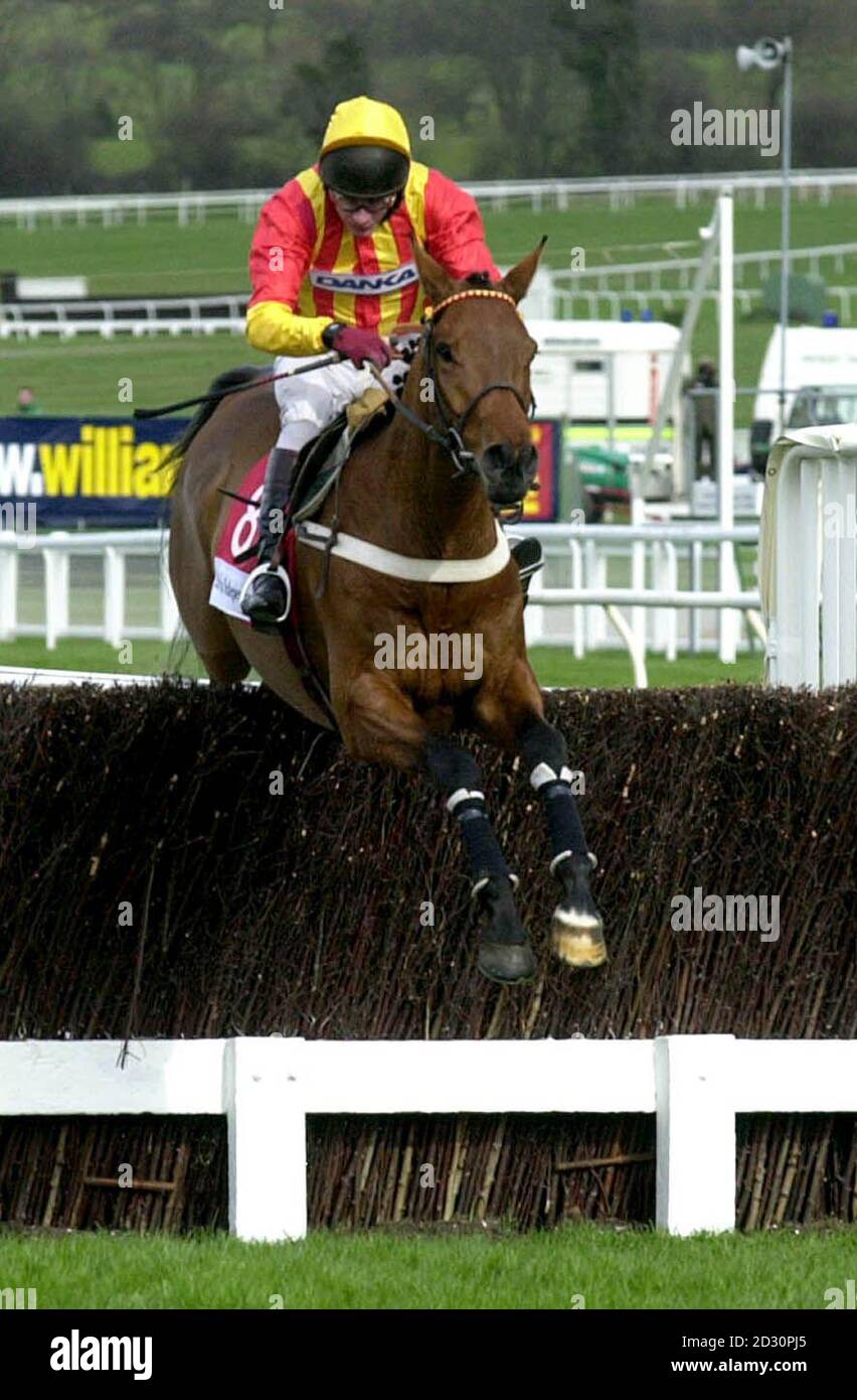 Arkle challenge trophy hi-res stock photography and images - Alamy