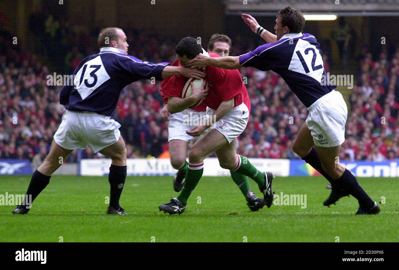 Six ducks hi-res stock photography and images - Alamy