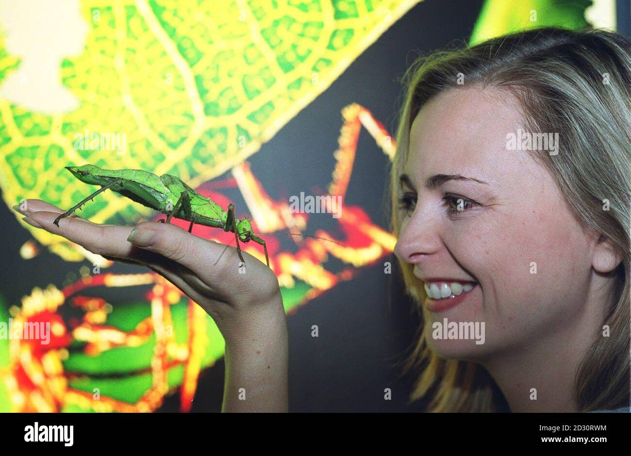 Series highlighting environmental projects hi-res stock photography and ...