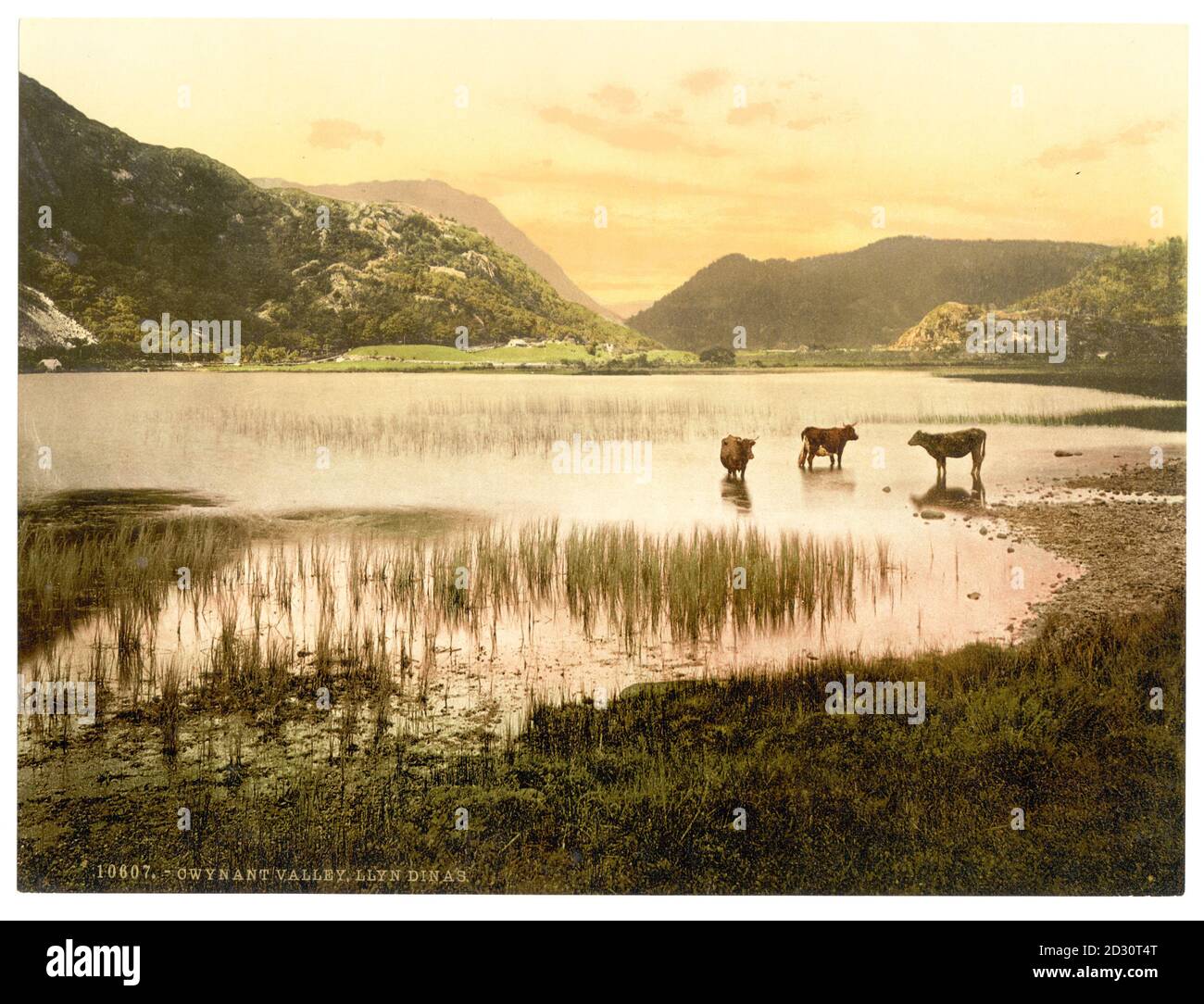Photochrome High Resolution Stock Photography and Images - Alamy
