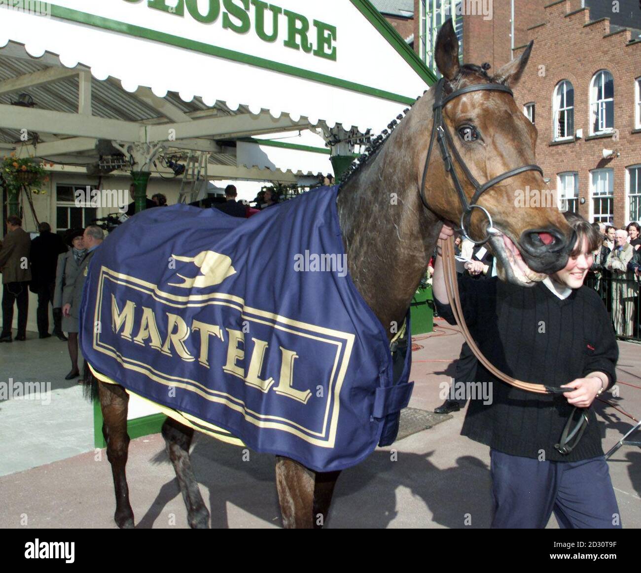 'Bells Life', winner of race four, The Martell Fox Hunters Steeple ...