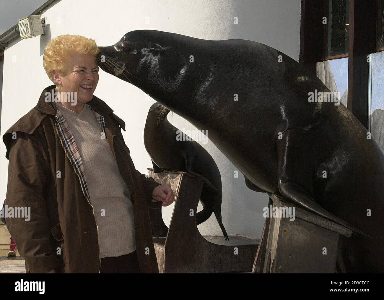 Pam St Clement who plays Pat Evans in the BBC's Eastenders comes face ...
