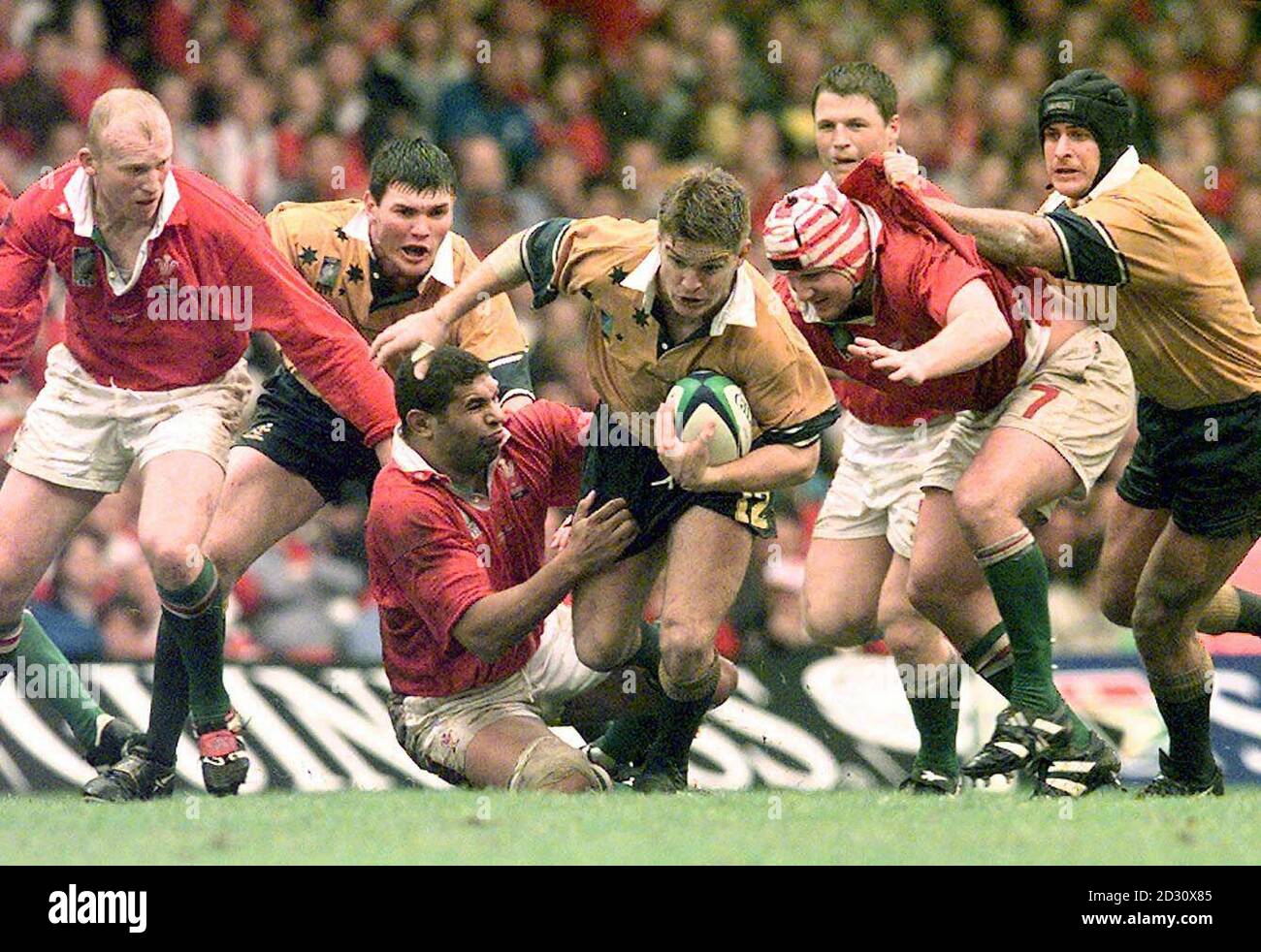 Tim Horan High Resolution Stock Photography and Images - Alamy