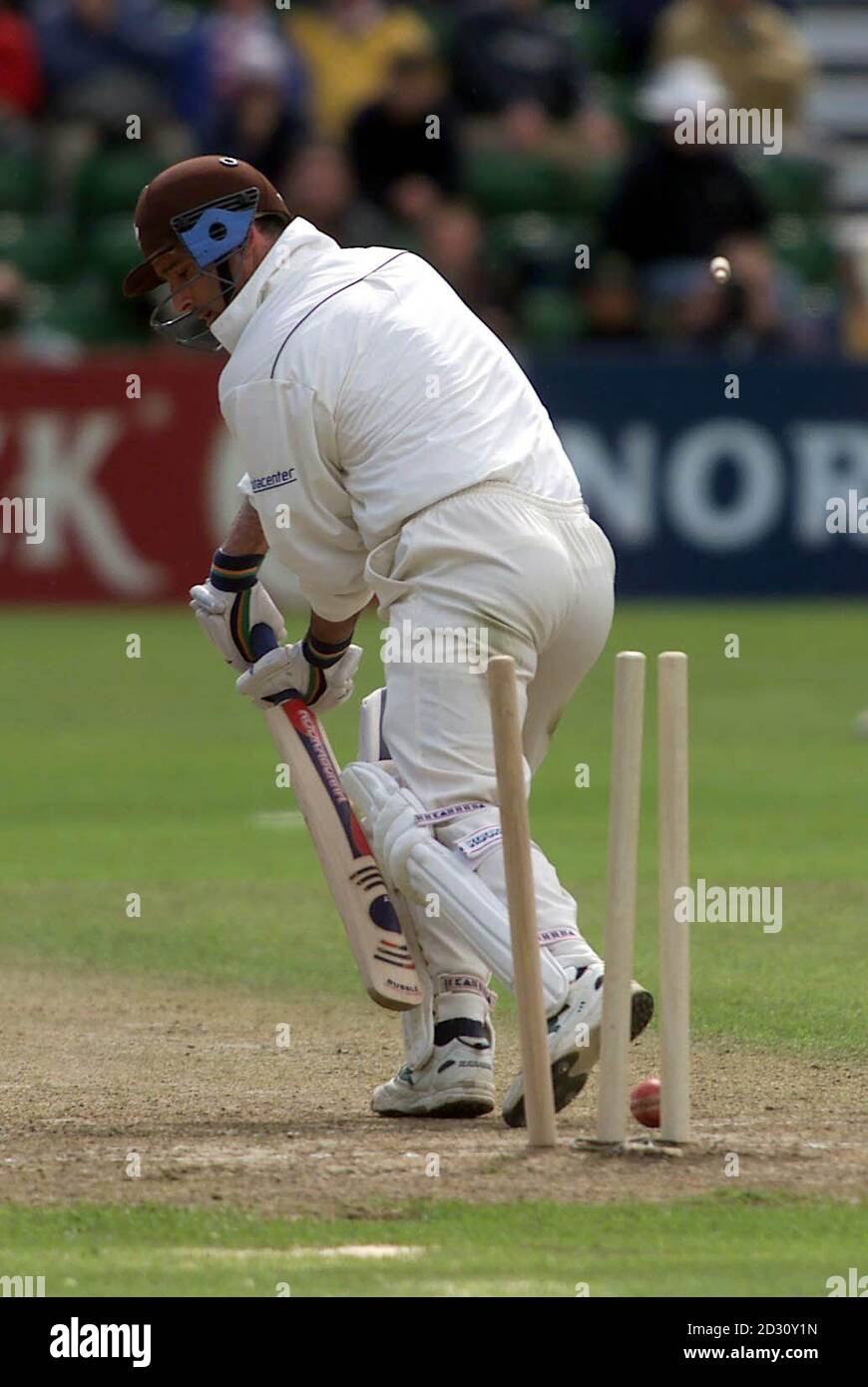 Surrey batsman Graham Thorpe (pictured) is bowled out by Glamorgan's ...
