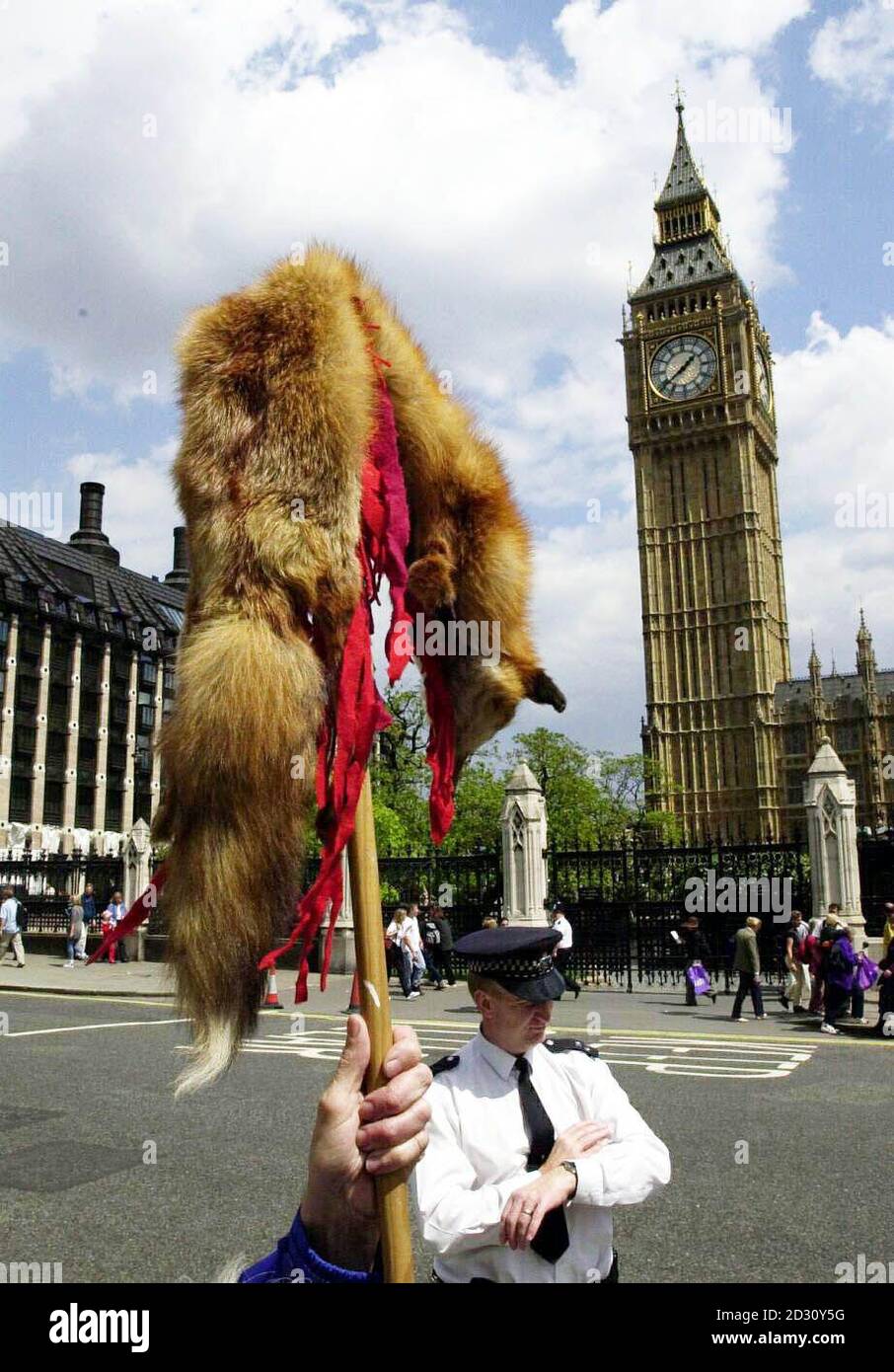 Where hundreds of angry anti hunt protesters hi-res stock photography ...