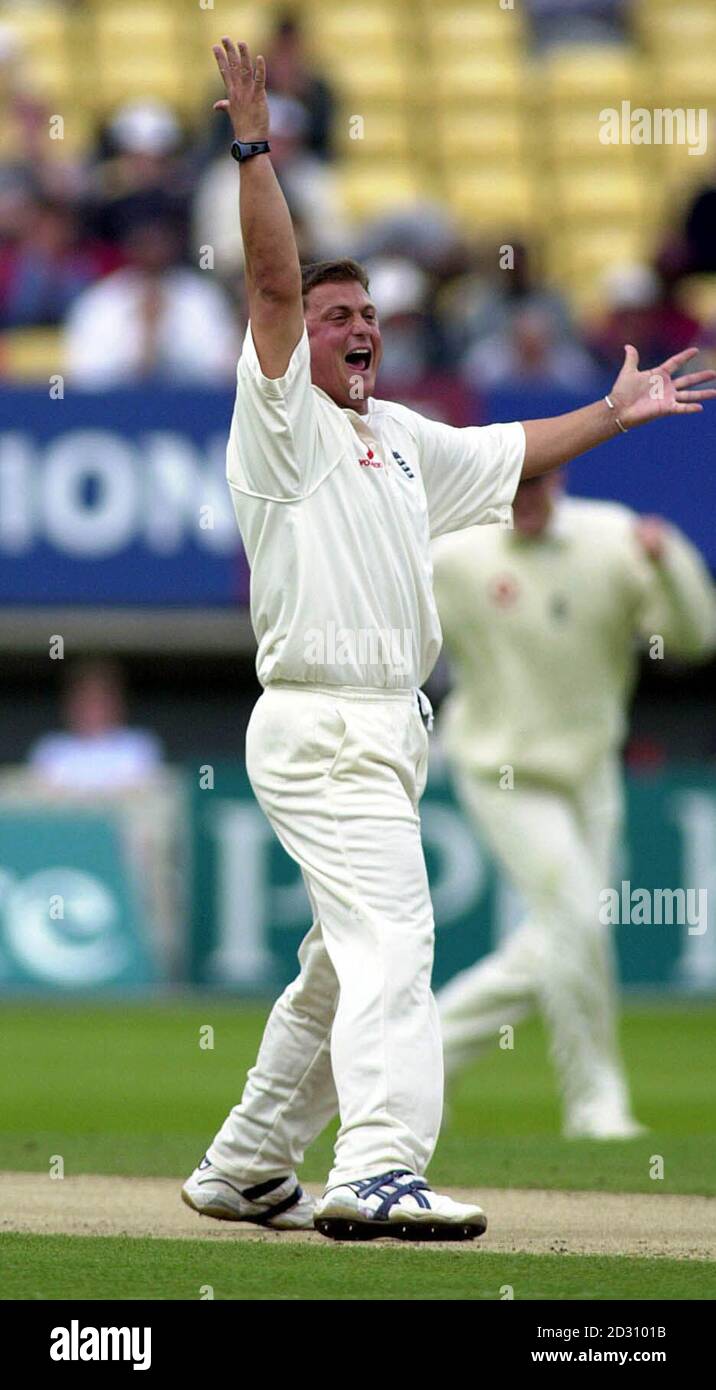 England bowler Darren Gough celebrates dismissing West Indies opening ...