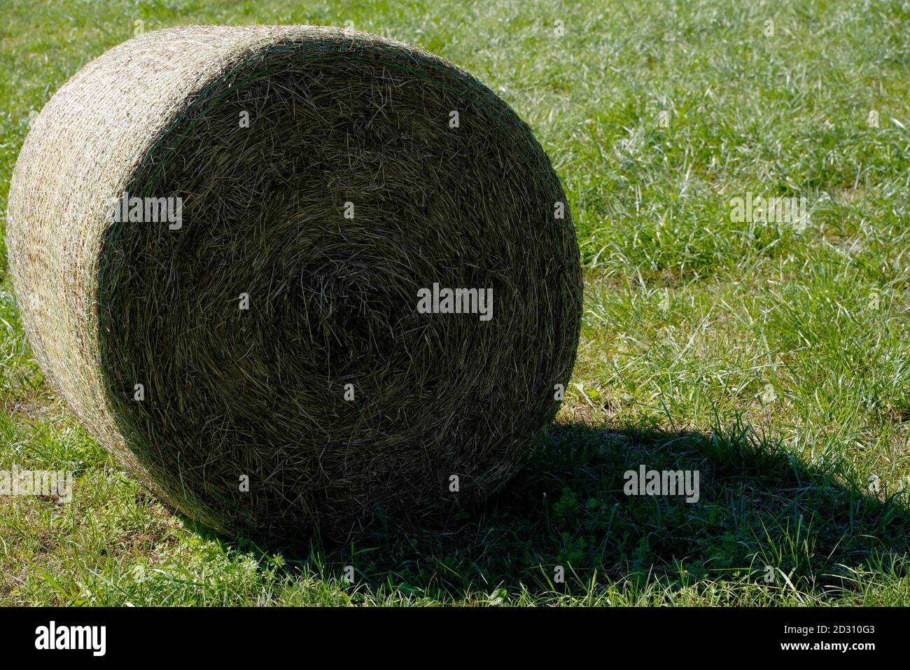 Hay and straw harvesting straw bales Stock Photo - Alamy