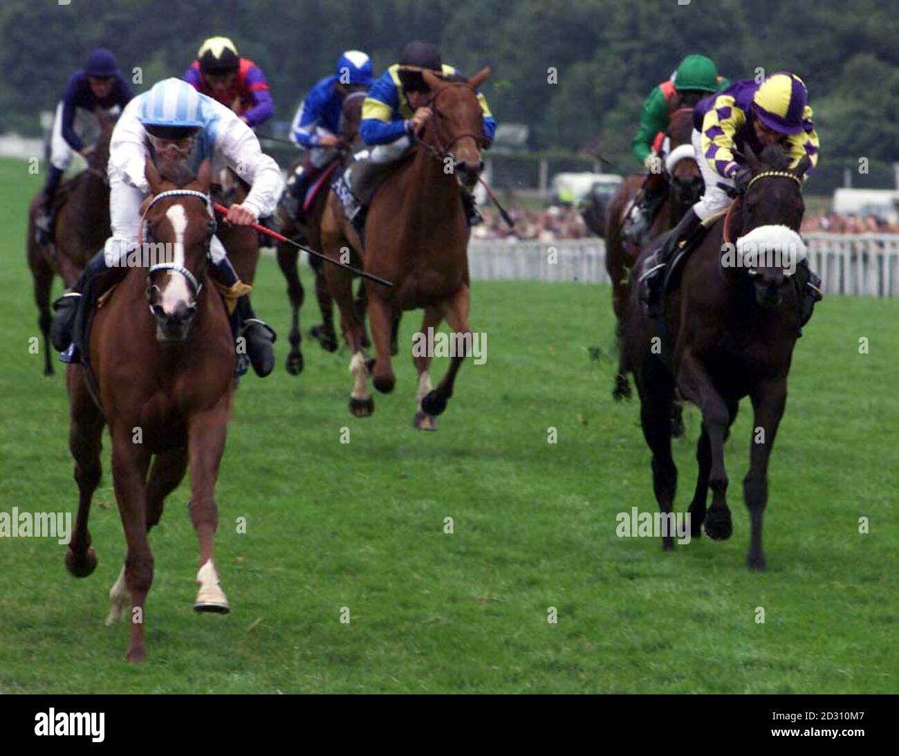 Crimplene High Resolution Stock Photography and Images - Alamy