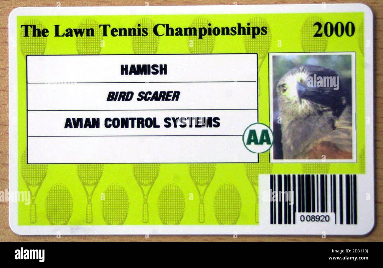 Hamish harrier hawk hi-res stock photography and images - Alamy