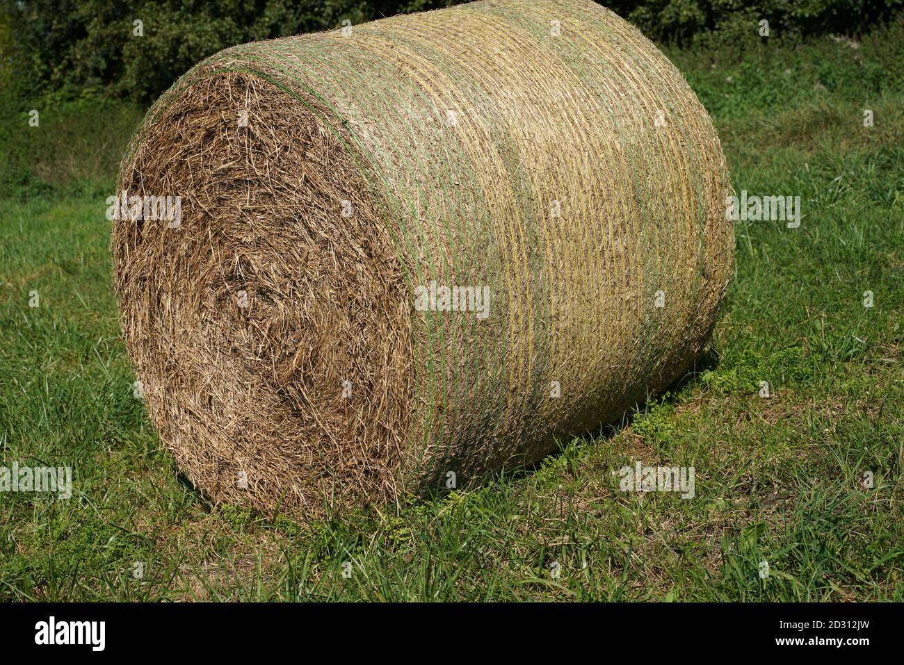 Hay and straw harvesting straw bales Stock Photo - Alamy