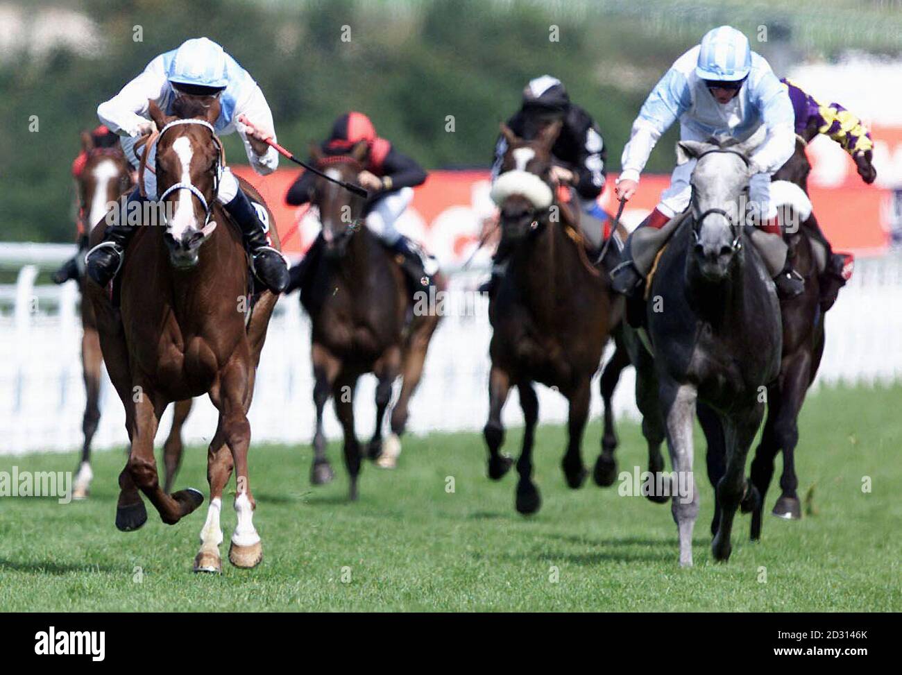 Crimplene robinson hi-res stock photography and images - Alamy