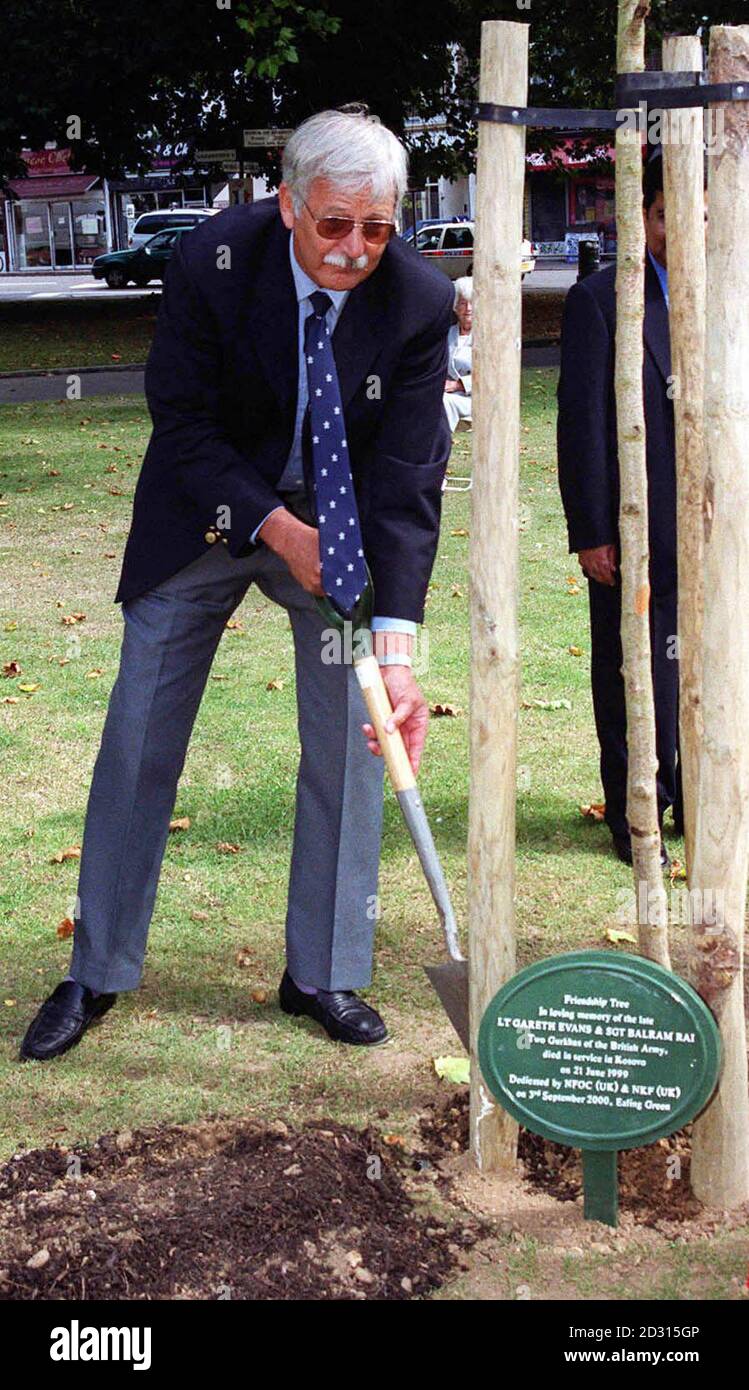 John evans father lieutenant gareth evans plants hi-res stock ...