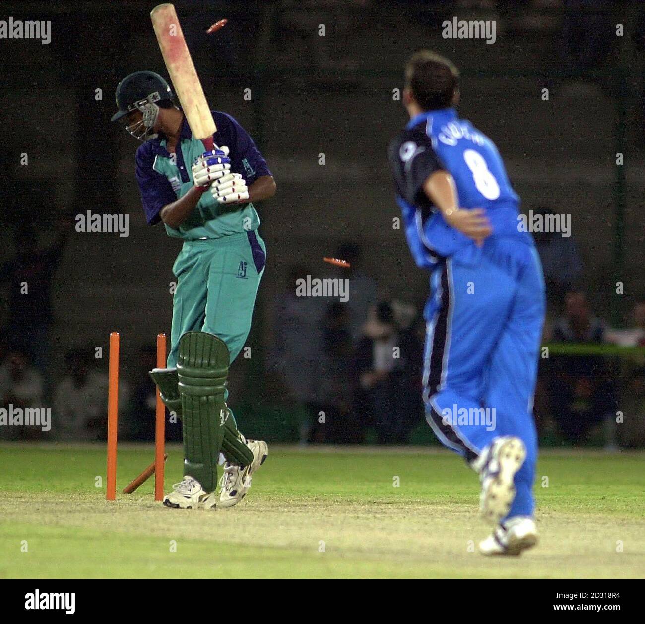 Cricket gough out leave hi-res stock photography and images - Alamy