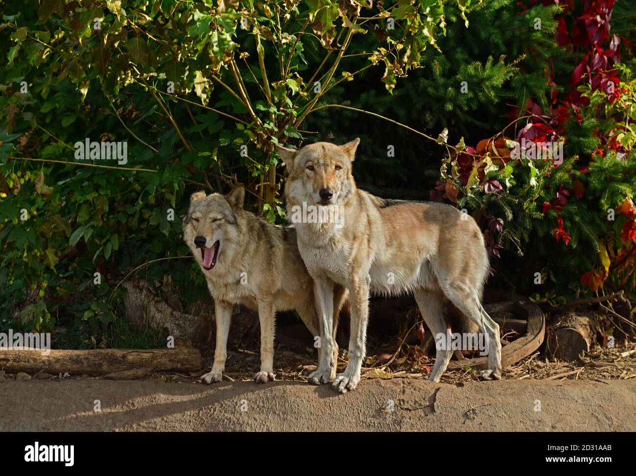 Russian family moscow outdoor hi-res stock photography and images - Alamy