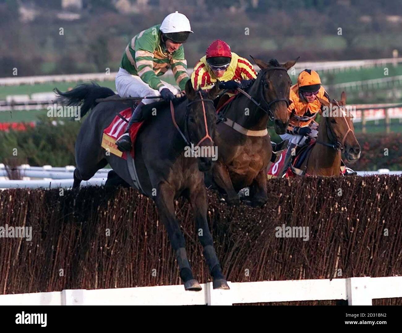 Cheltenham go roger hi-res stock photography and images - Alamy