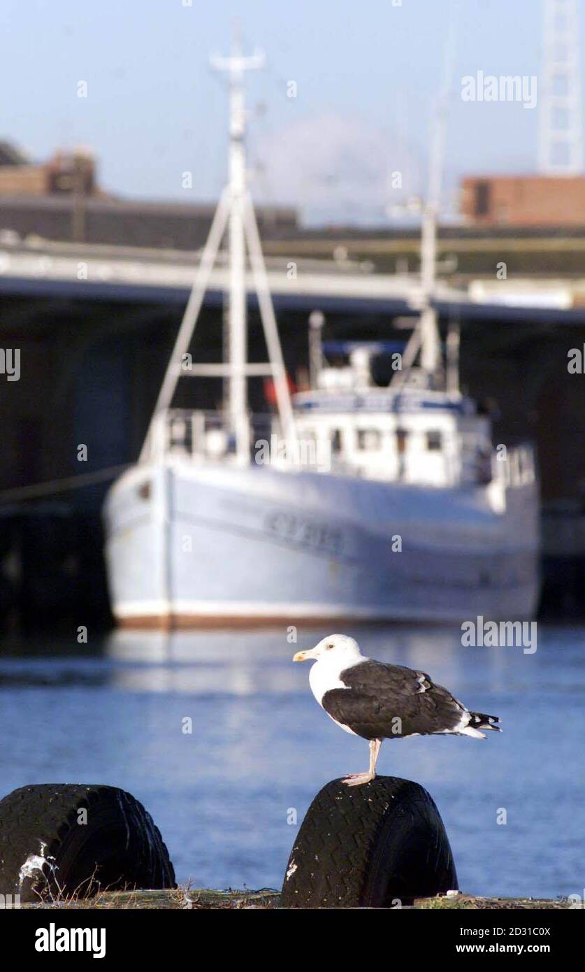 Empty fishing docks in Lowestoft . It is predicted that strict new ...