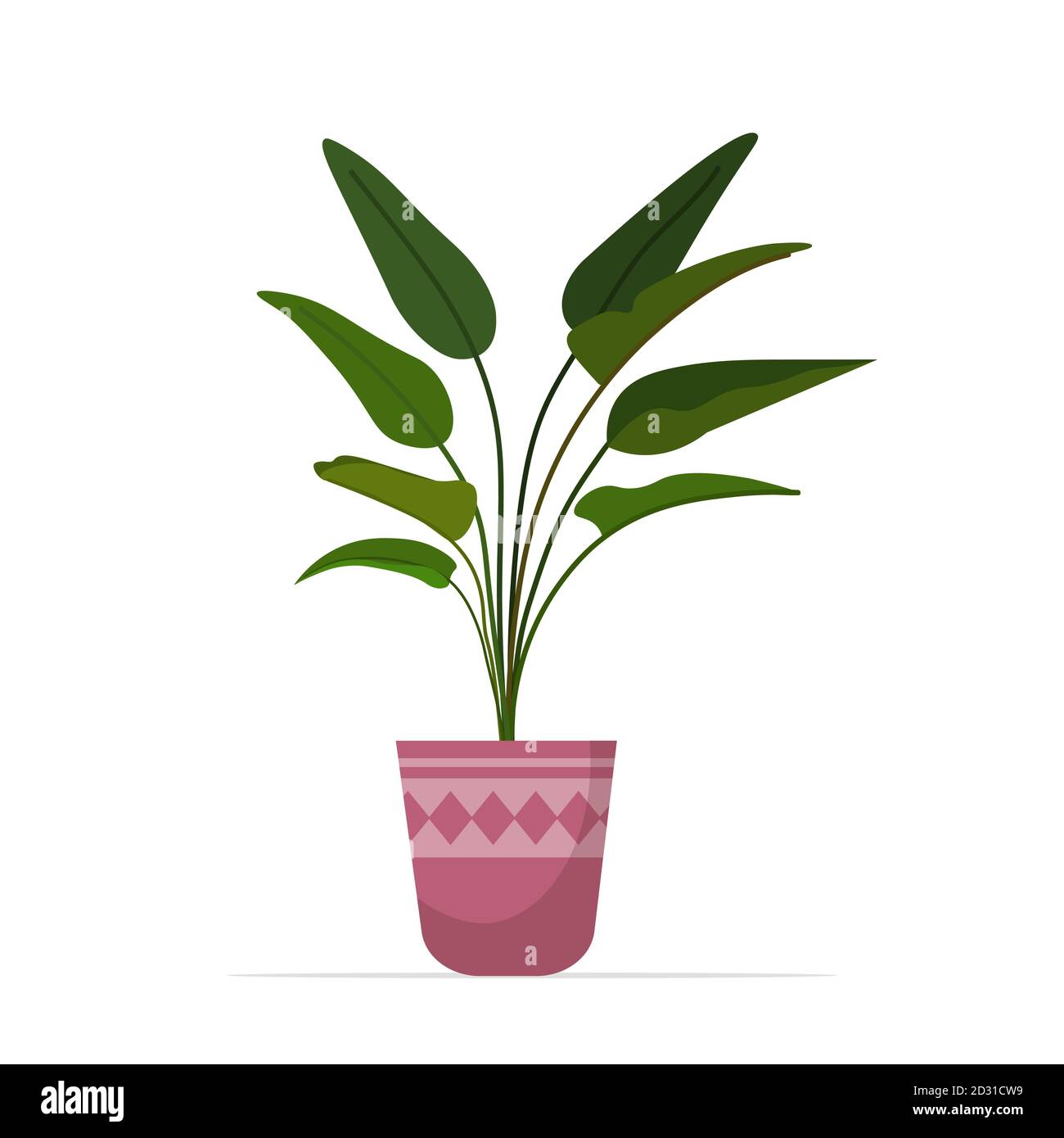 Decorative Houseplant Planted In Ceramic Pot Garden Potted Plants