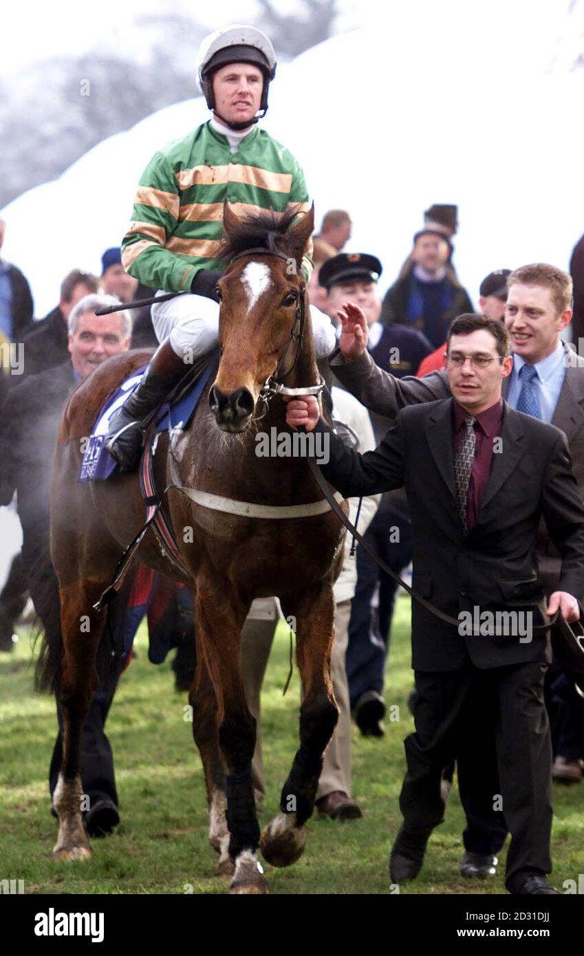 Horse fallen on track hi-res stock photography and images - Alamy