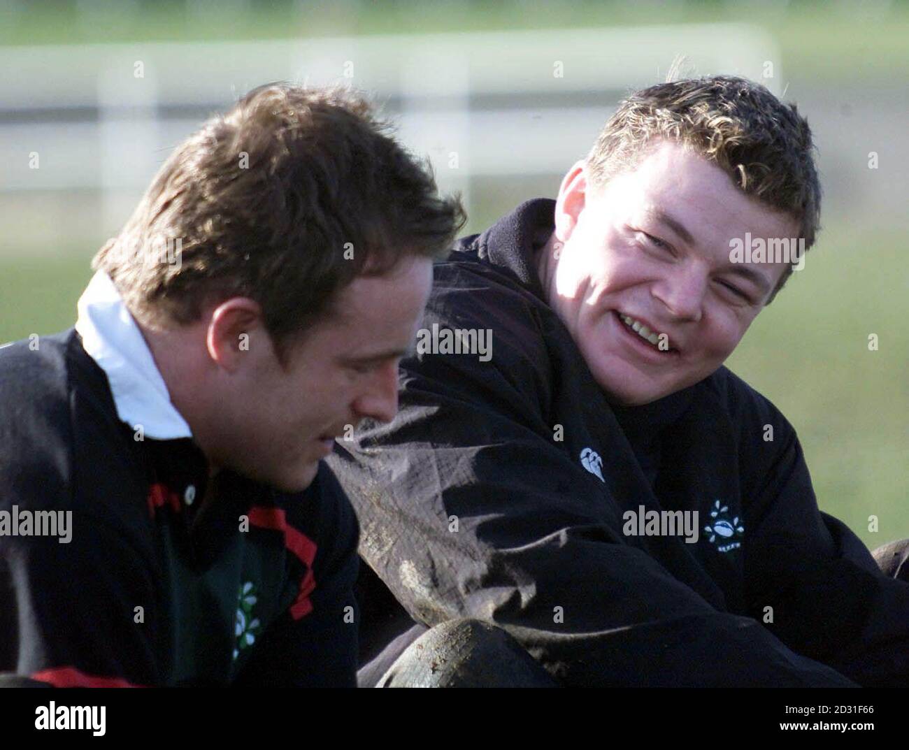 Trianing session greystones hi-res stock photography and images - Alamy