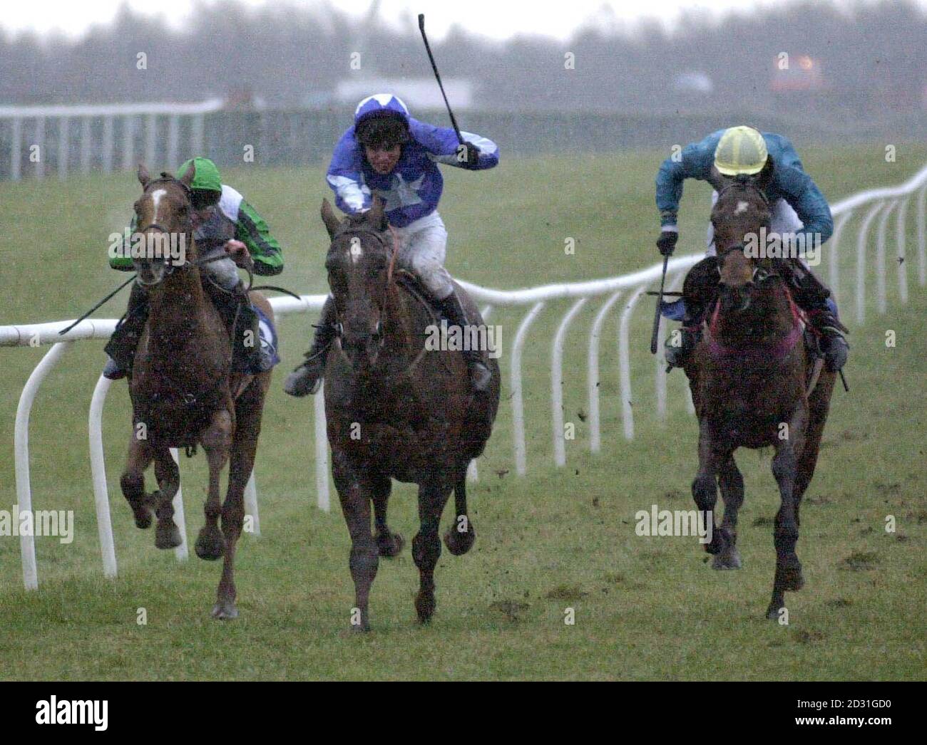 Horse s mouth hi-res stock photography and images - Alamy