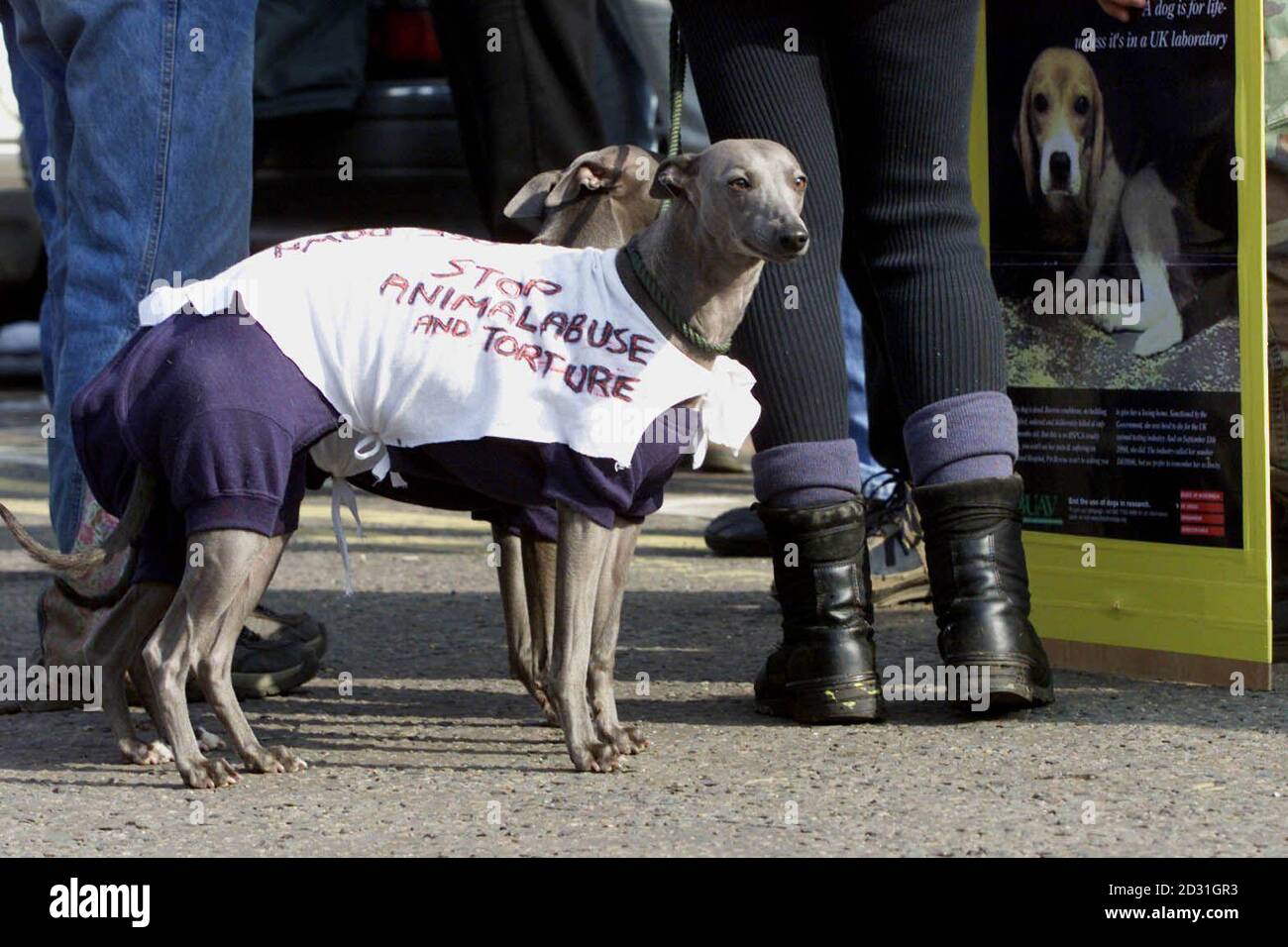 All animals have rights hi-res stock photography and images - Alamy