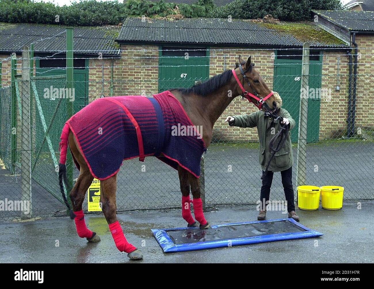 Precaution against foot and mouth disease hi-res stock photography and ...