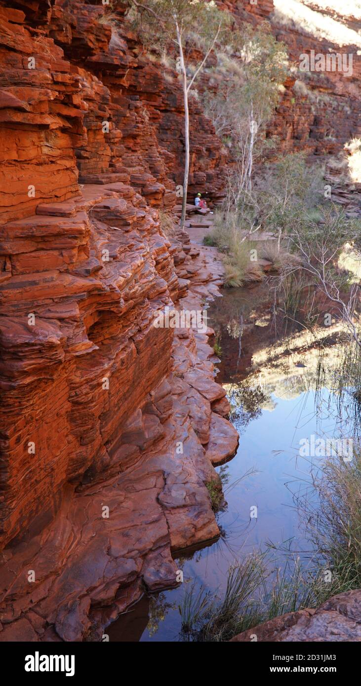 Spider Walk Canyon hike through the Hancock Gorge of Karijini National ...