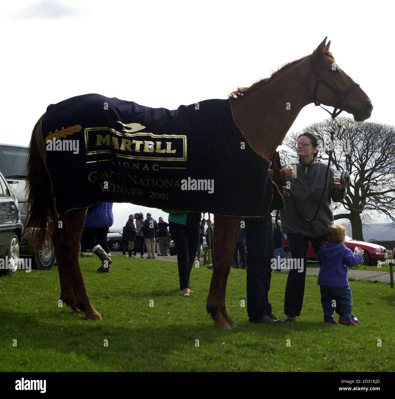 Grand national winner red marauder hi-res stock photography and images ...