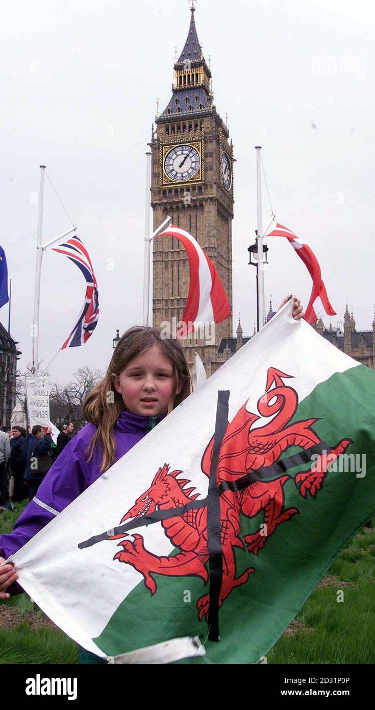 Devon dartmoor gathered in parliament square hi-res stock photography ...