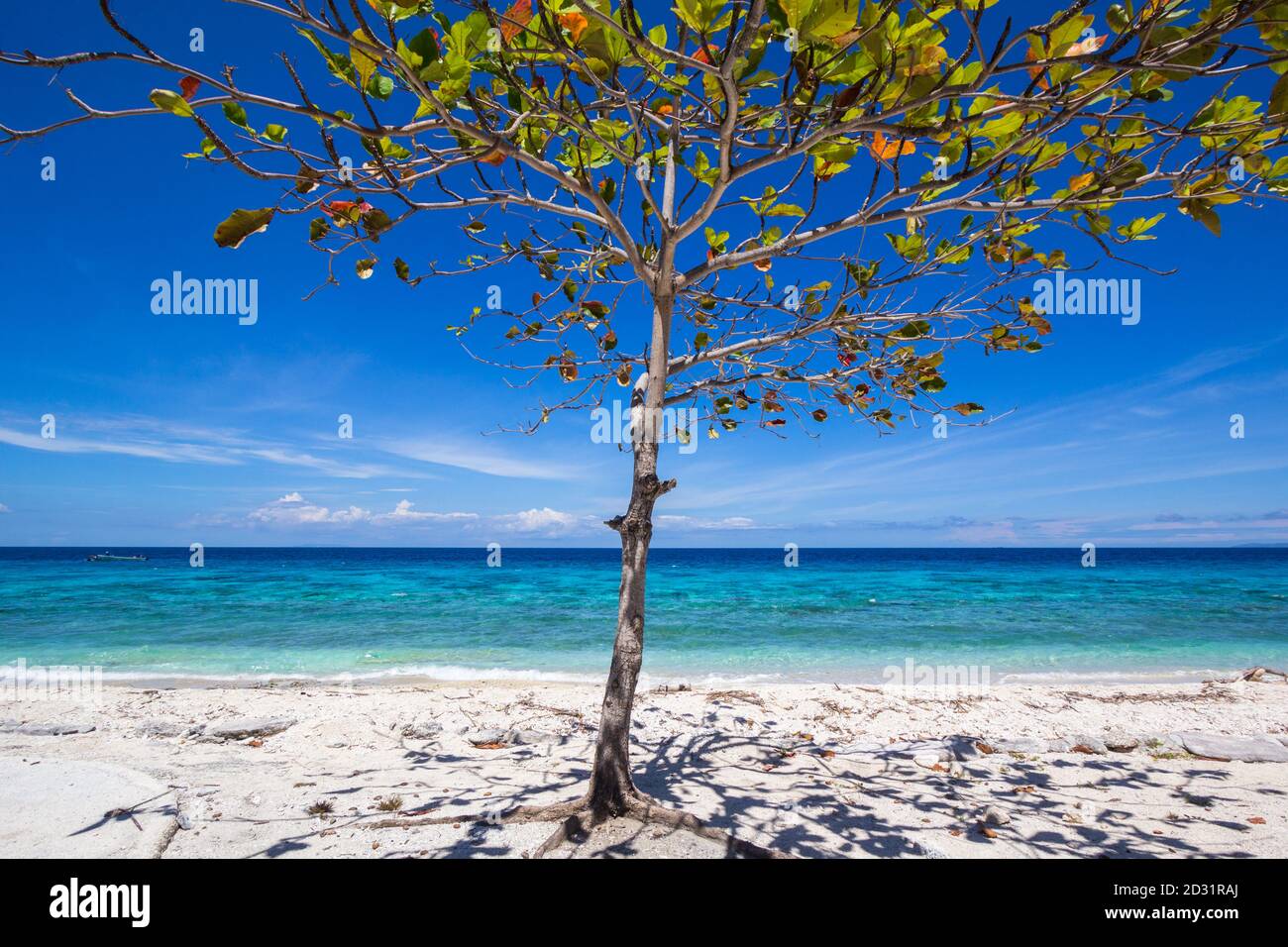 Beach at Bluewater Sumilon Island Resort Stock Photo - Alamy