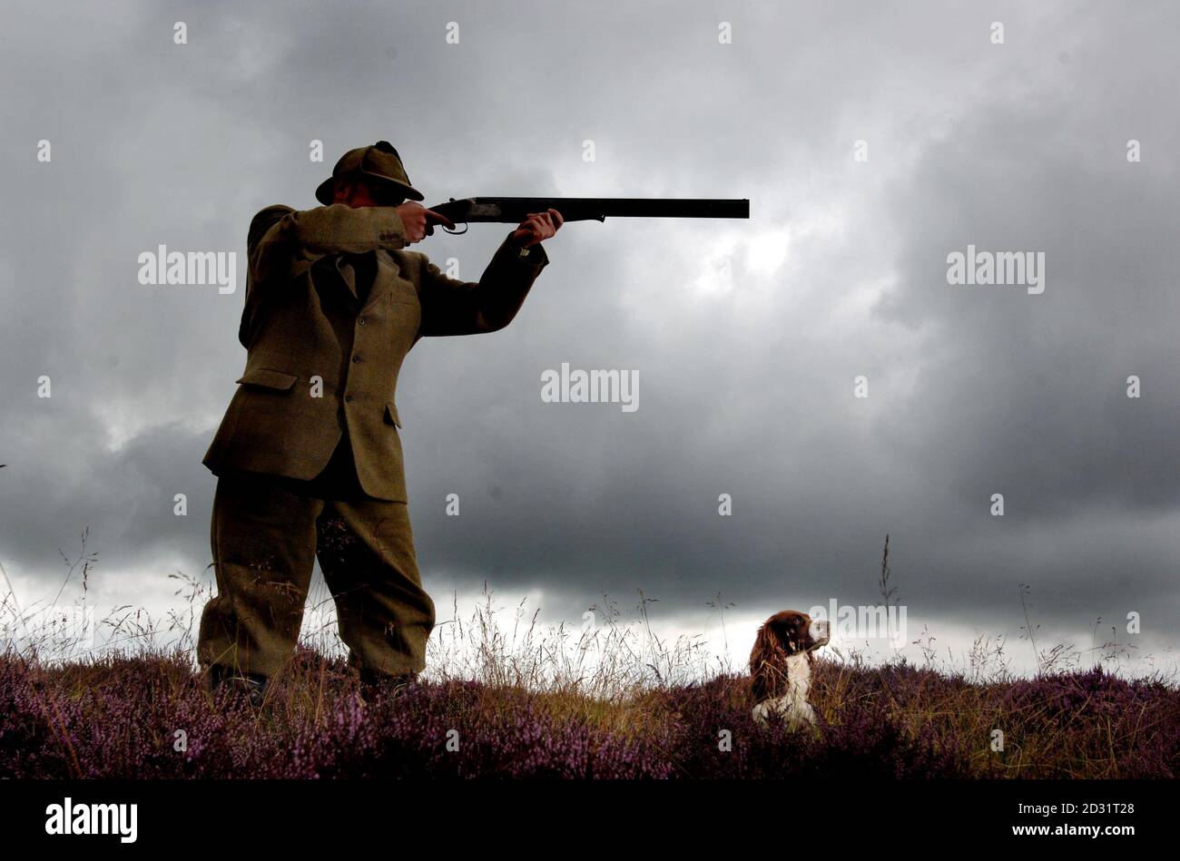 The start of the grouse shooting season hi-res stock photography and ...