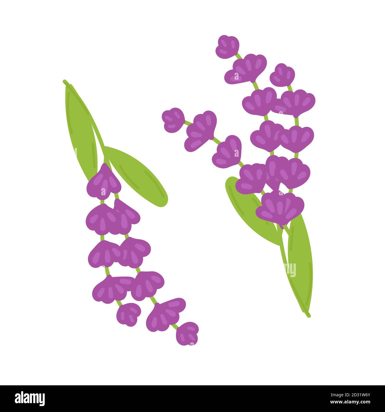 Cartoon vector illstration of sprig of lavender isolated on white ...