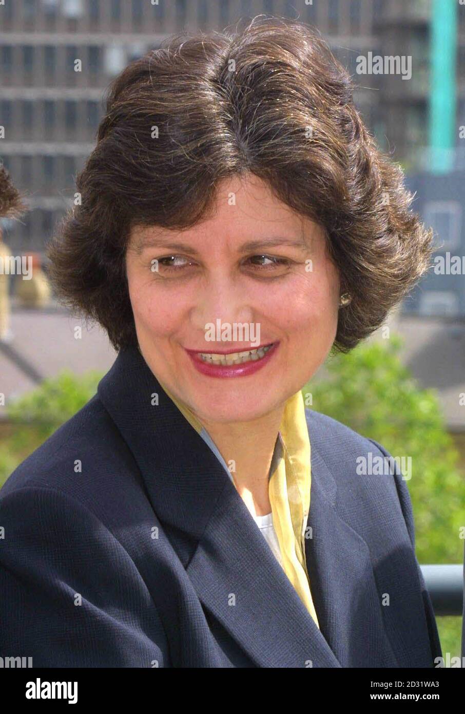 Melanie Johnson, Department of Trade and Industry Parliamentary ...