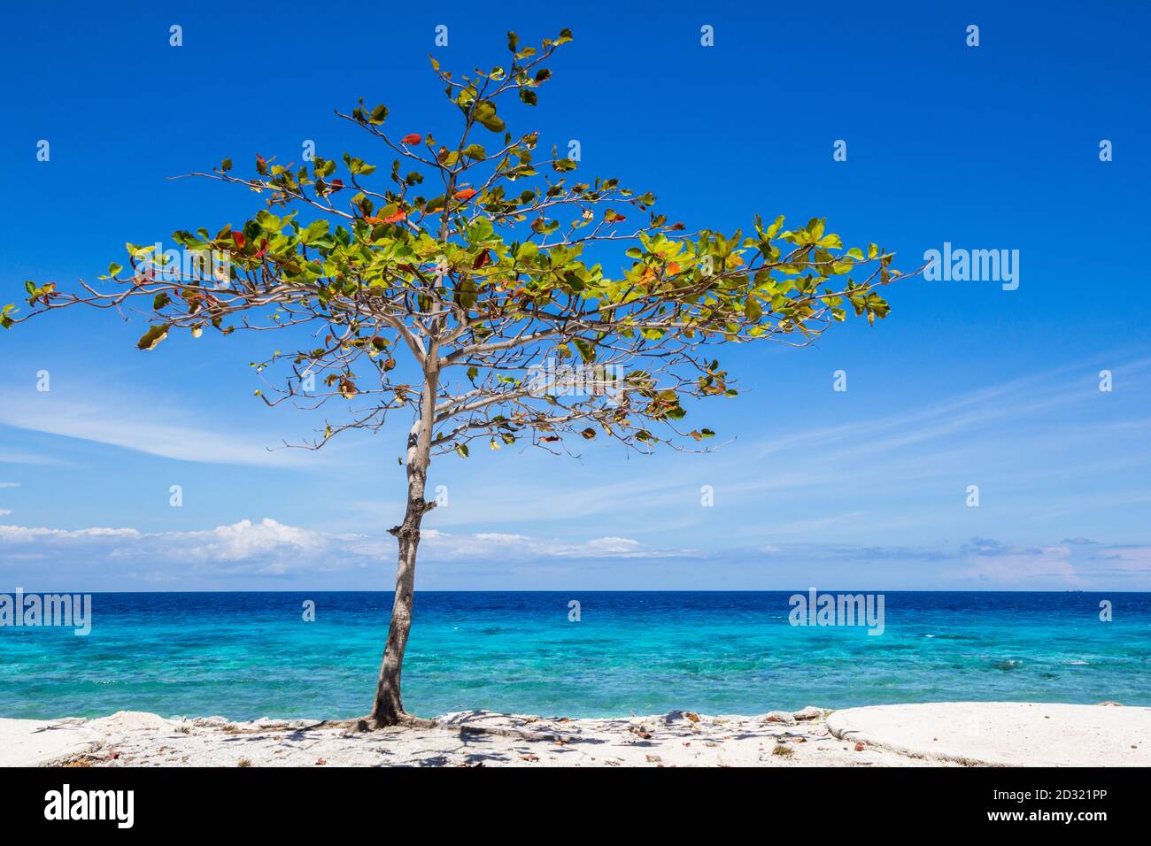 Beach at Bluewater Sumilon Island Resort Stock Photo - Alamy