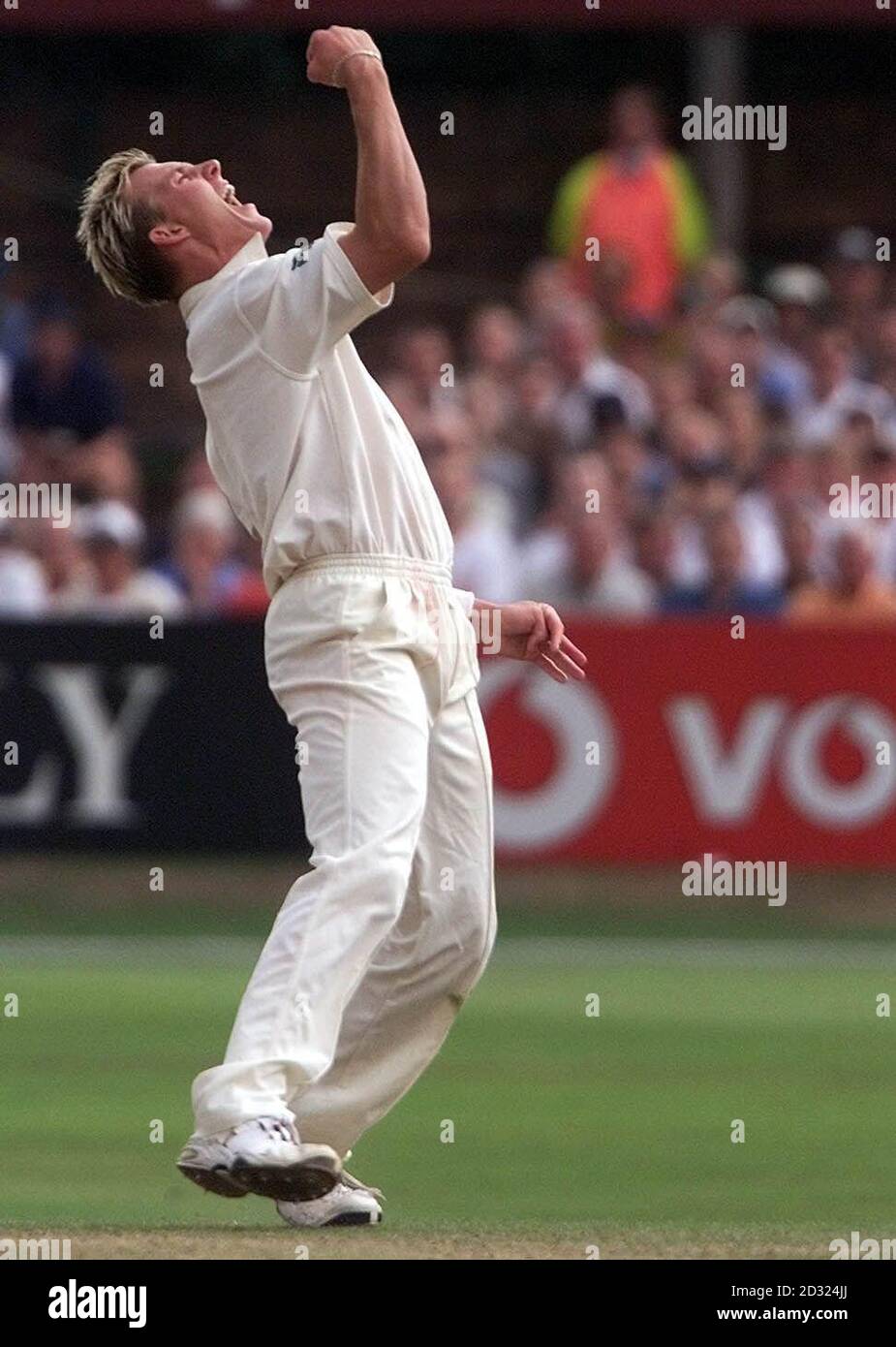 Australia's Brett Lee celebrates the wicket of England's Andrew Caddick ...