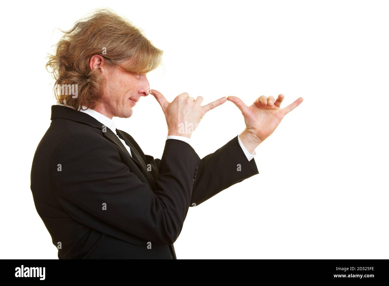 Long gray Cut Out Stock Images & Pictures - Alamy