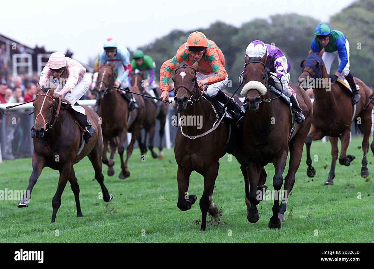 Denis sweeney riding scarlett ribbon hi-res stock photography and ...