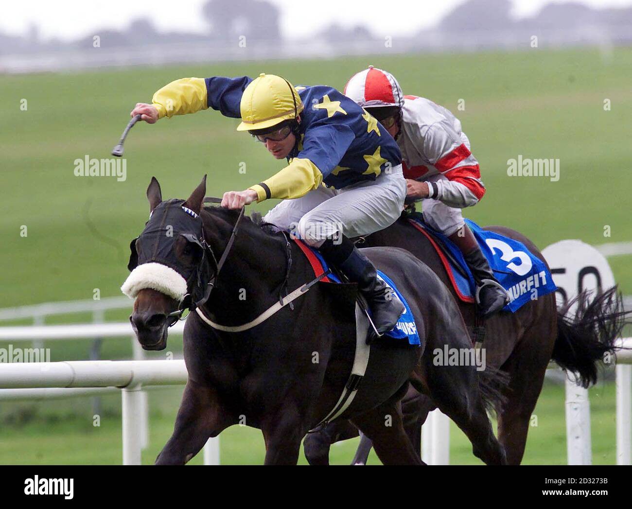 Winning jefferson smurfit memorial irish st hi-res stock photography ...