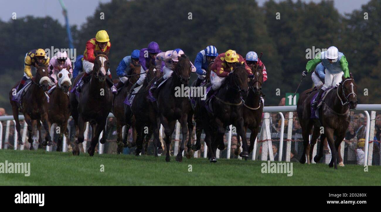 Johnny Murtagh Centre Blue High Resolution Stock Photography and Images ...