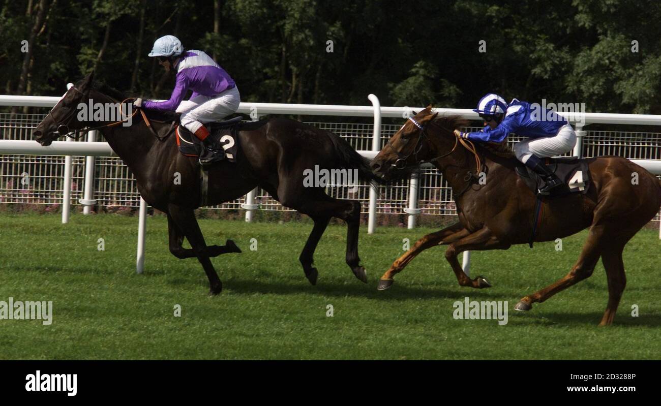 No 2 First Ballot and Kieren Fallon wins the 4th race from No 4 Moojaz ...