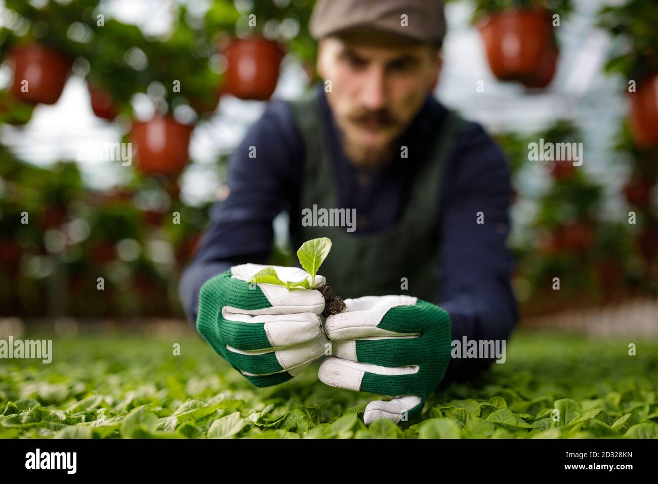 Modern gardener hi-res stock photography and images - Alamy