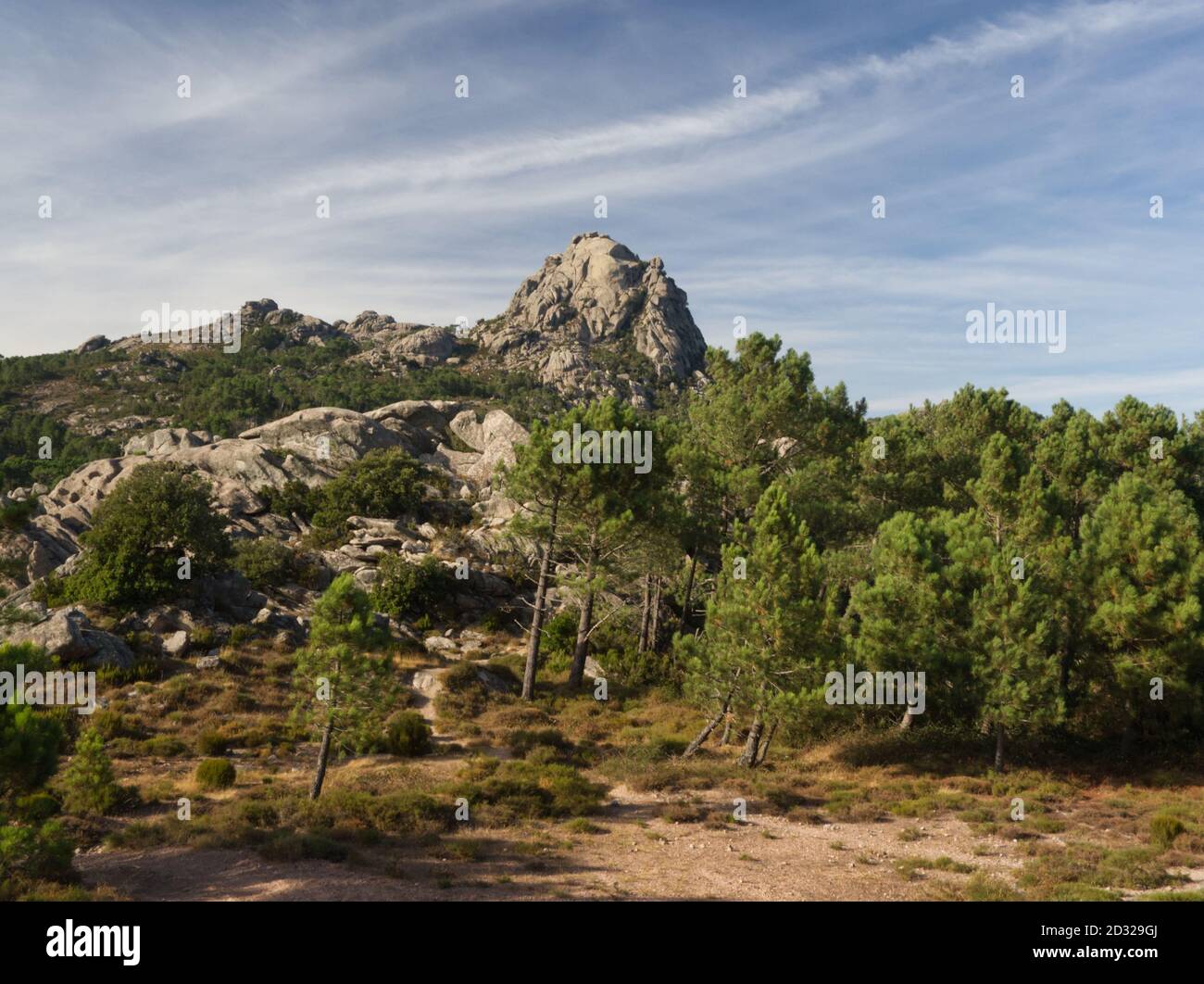 Landscape of rocks and trees under the sky in the Alta Rocca mountains ...