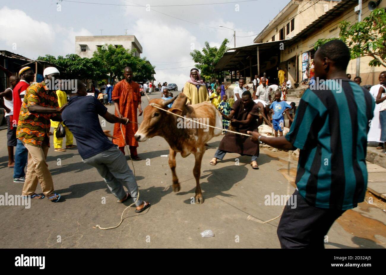 Eid al adha slaughter sheep hi-res stock photography and images - Alamy