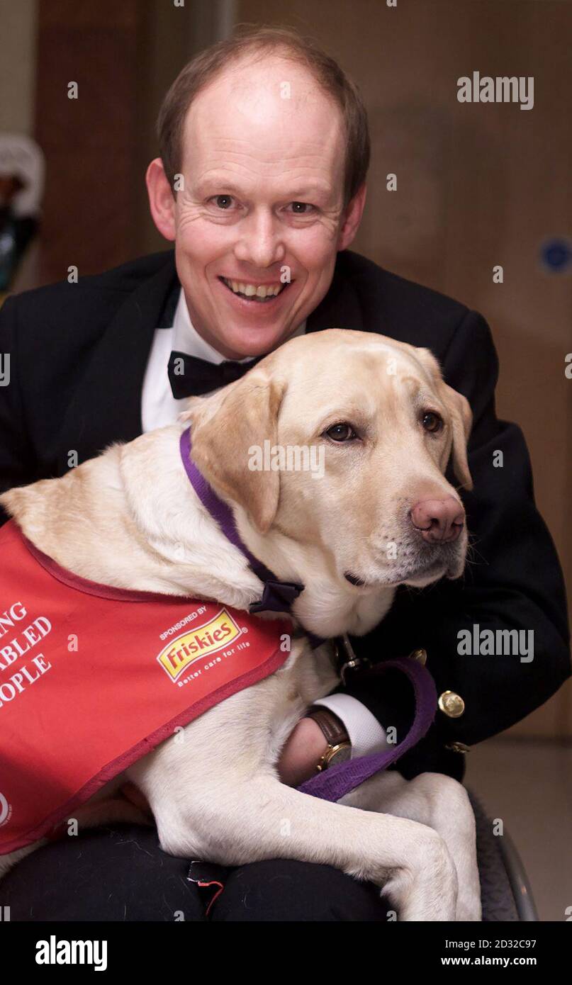 Labrador endal with gulf war vetern allan parton hi-res stock ...