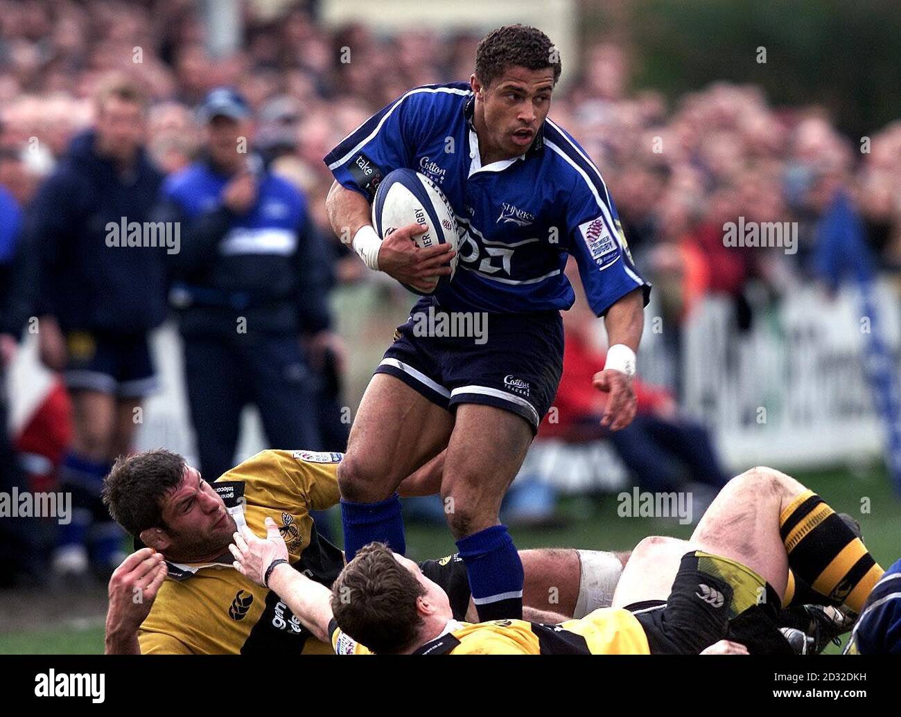 Victory over wasps hi-res stock photography and images - Alamy