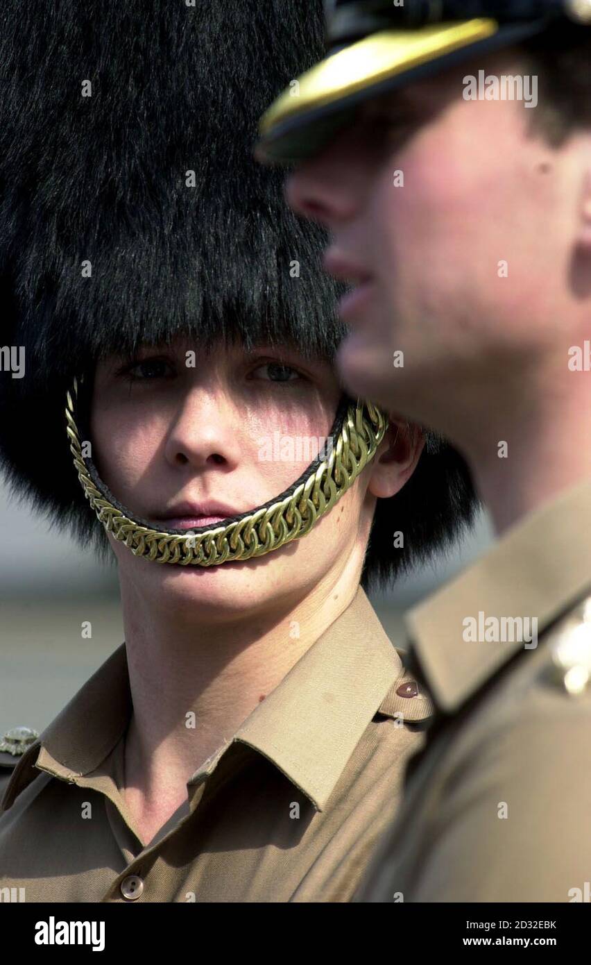Captain Hamilton (right) and Lieutenant d'Apice, members of Number 7 ...