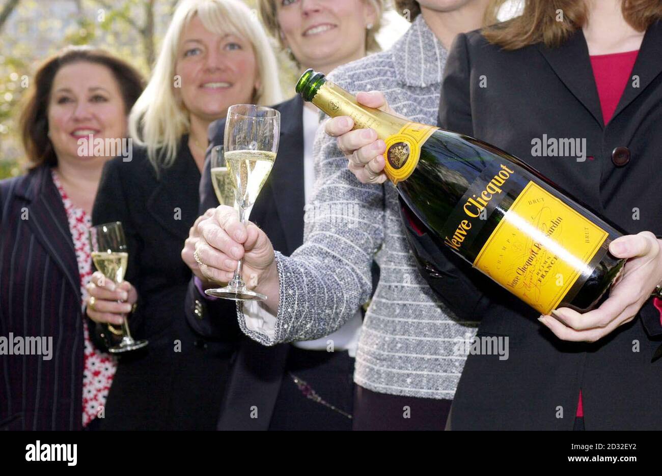 Five high-flying businesswomen, (L-R) Chey Garland, Sly Bailey, Jo ...