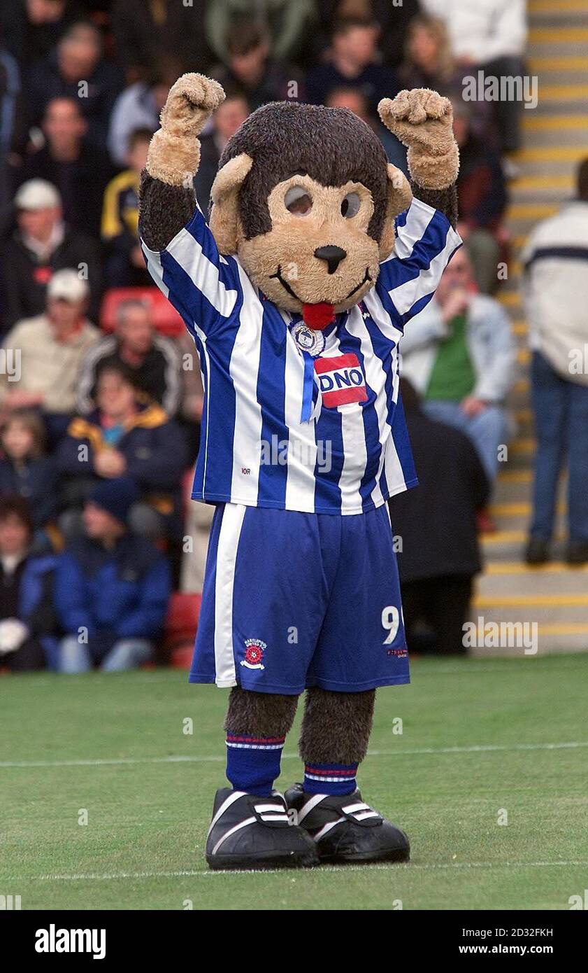 Stuart Drummond dressed as H'Angus, the mascot for Hartlepool United ...